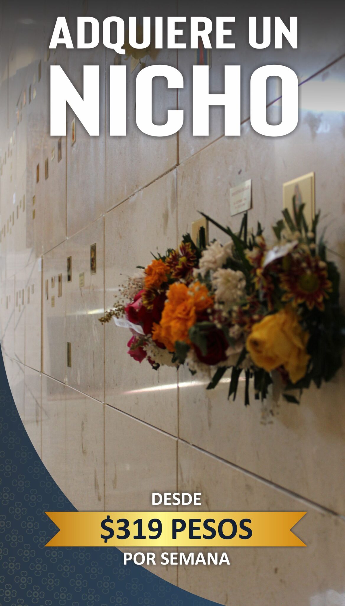 Catedral Metropolitana Tijuana – Sitio de la Catedral Metropolitana Tijuana